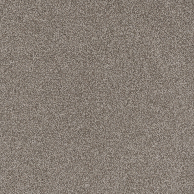 Dreamweaver Carpet Beach Club II Roman Carpet 1430_4345
