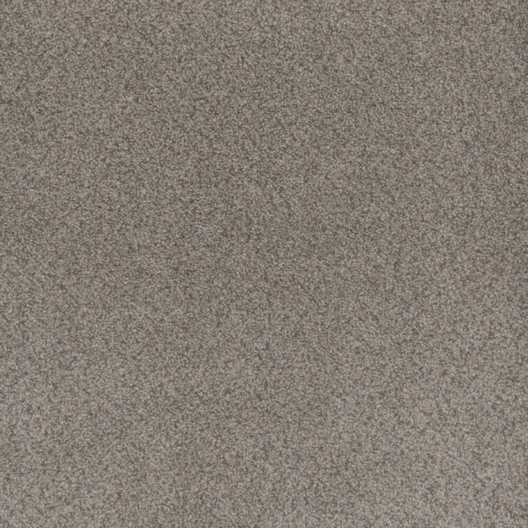 Dreamweaver Carpet Beach Club III Canyon Carpet 1540_4470