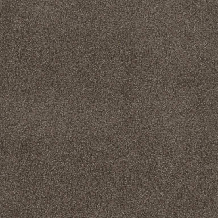 Dreamweaver Carpet Step Up Boulder Carpet 1420_552