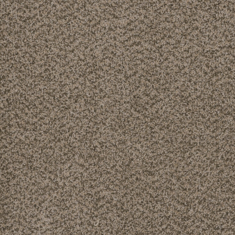 Dreamweaver Carpet Hot Pursuit Crystal Carpet 1424_537