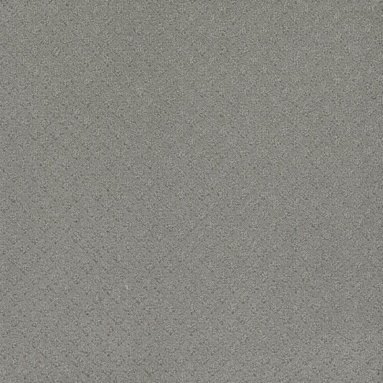 Dreamweaver Carpet Capri Icefield Carpet 1428_620