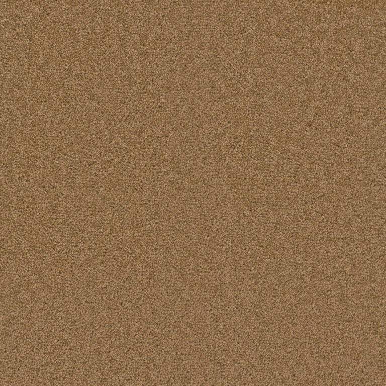 Dreamweaver Carpet Cedar Creek Honey Beige Carpet 2030_510