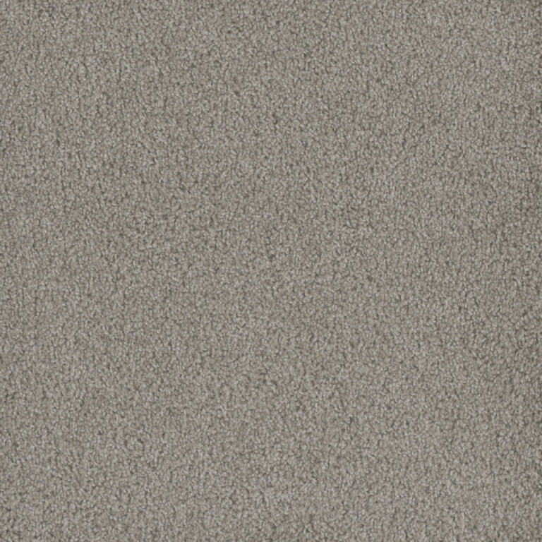 Dreamweaver Carpet Hammond Creek II Clam Shell Carpet 2045_182