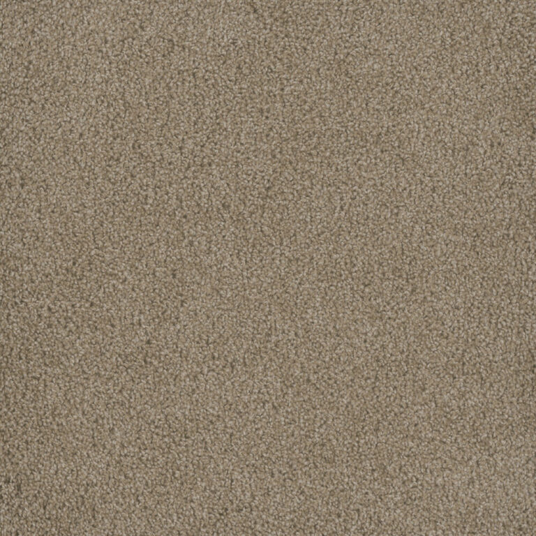 Dreamweaver Carpet Hammond Creek I Sawgrass Carpet 2032_701