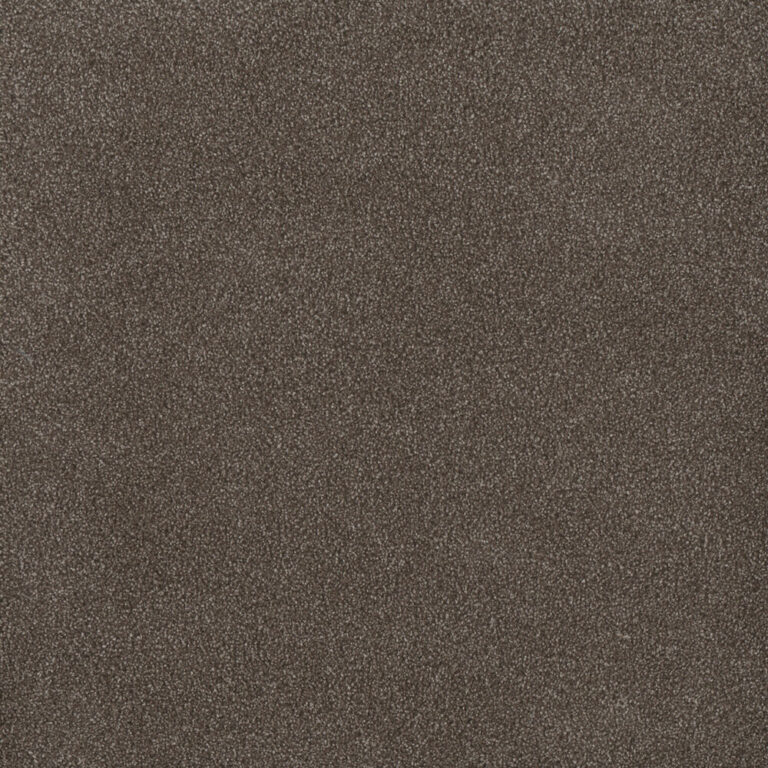 Dreamweaver Carpet Palmetto II Tea Time Carpet 2740_2189