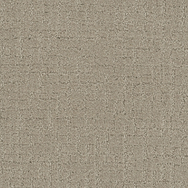 Dreamweaver Carpet Modern Edge Moon Mist Carpet 2825_6006