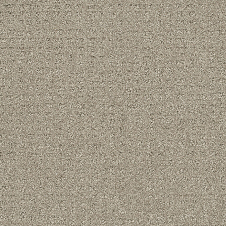 Dreamweaver Carpet Common Ground MOON MIST Carpet 2845_6006