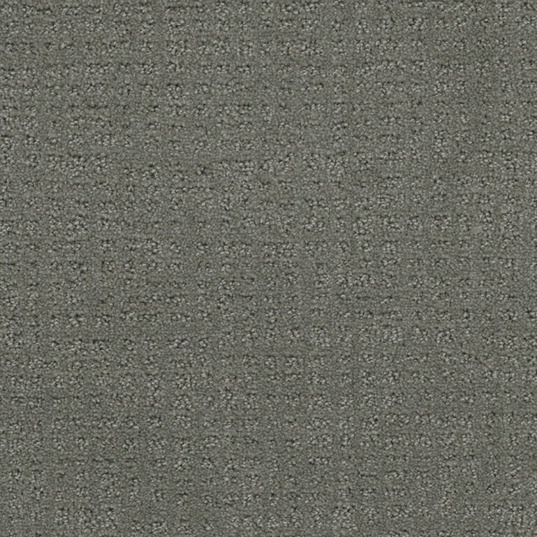 Dreamweaver Carpet Common Ground SKYWAY Carpet 2845_6009