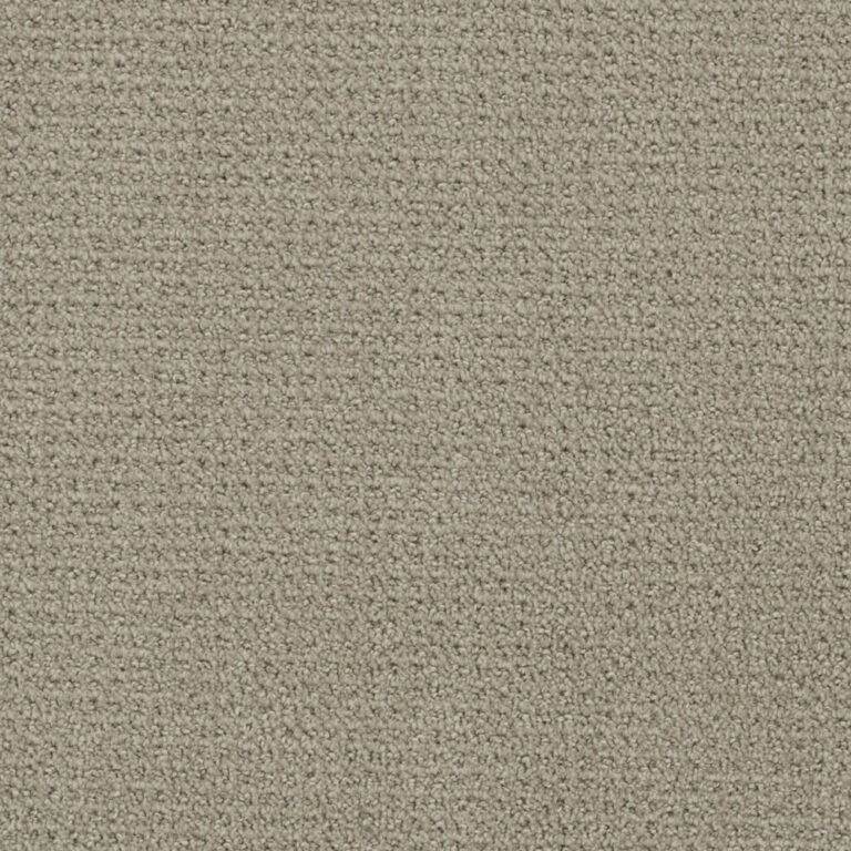 Dreamweaver Carpet Pinpoint Beach House Carpet 2870_6005