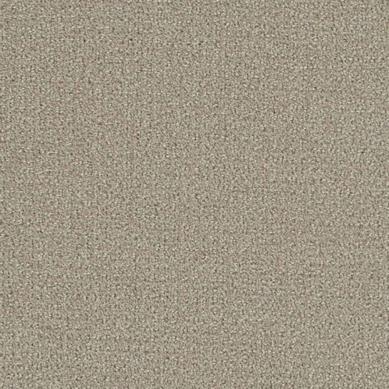Dreamweaver Carpet Pinpoint Moon Mist Carpet 2870_6006