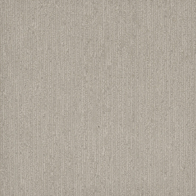 Dreamweaver Carpet Smooth Sailing Heirloom Carpet 2875_2861