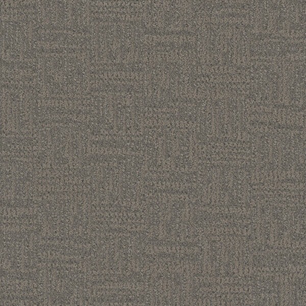 Dreamweaver Carpet Mystique Woodcrest Carpet 3575_2082