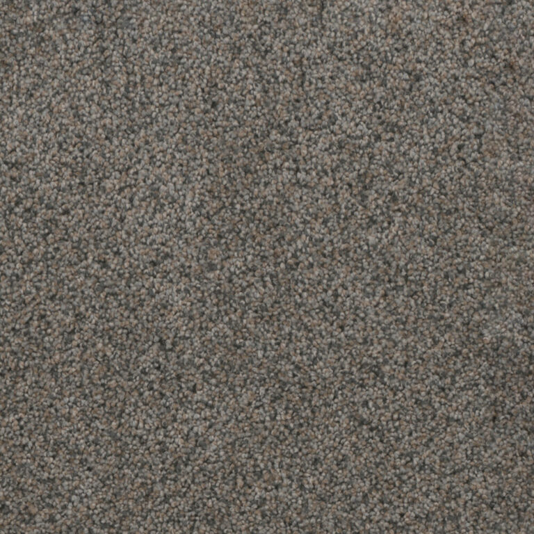 Dreamweaver Carpet Trendsetter I Ash Grove Carpet 3640_899