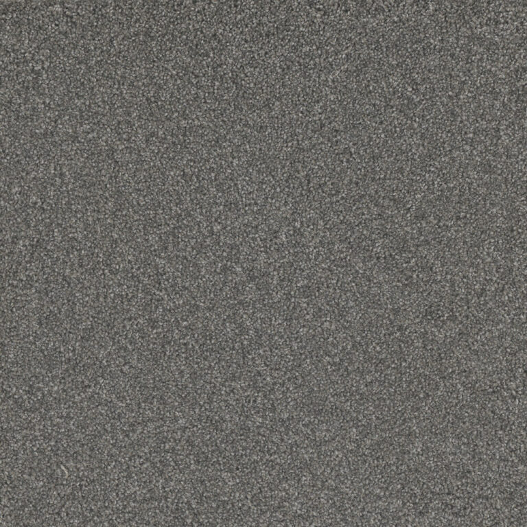 Dreamweaver Carpet No Limits II Sparkle Carpet 9346_4002