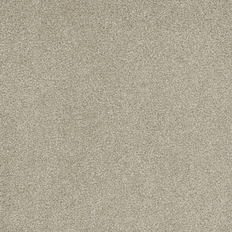 Dreamweaver Carpet Rock Solid I Cream Carpet 4345_580
