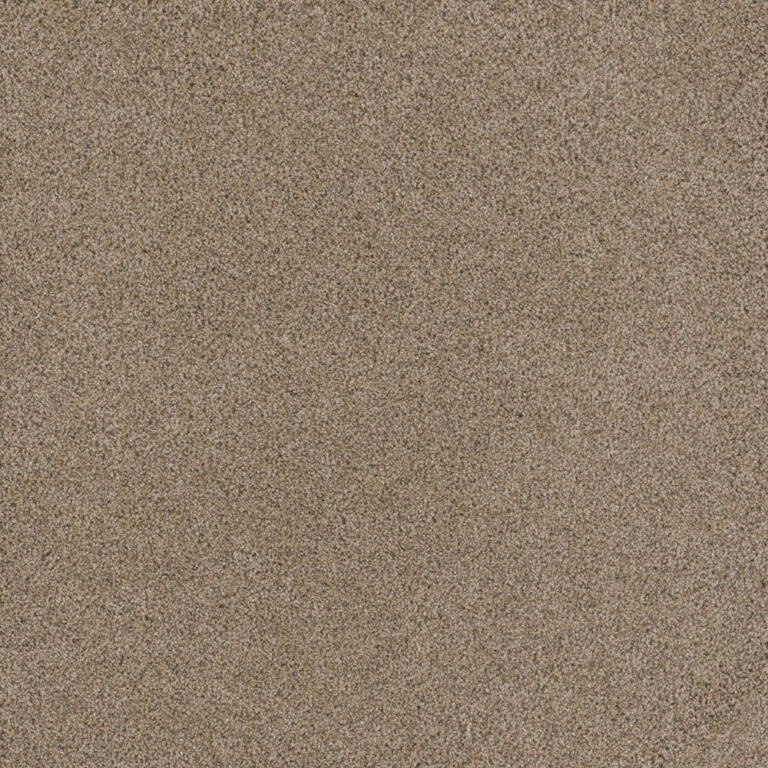 Dreamweaver Carpet Stunning Ginger Carpet 4765_726