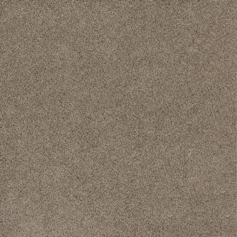 Dreamweaver Carpet Stunning Mocha Carpet 4765_775