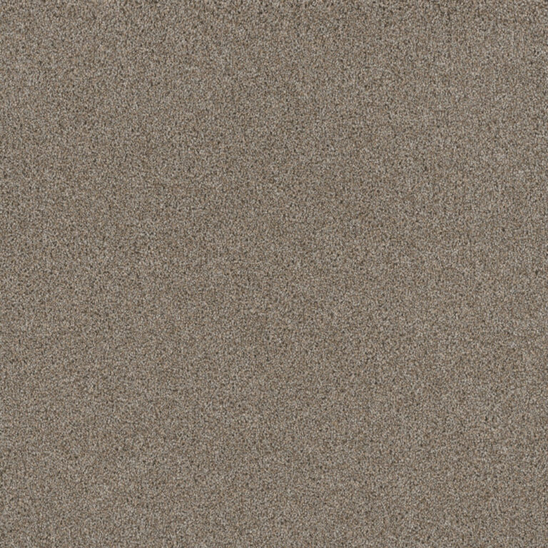 Dreamweaver Carpet Stunning Iron Frost Carpet 4765_815