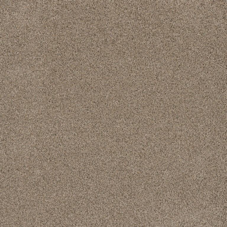 Dreamweaver Carpet Stunning Linen Carpet 4765_824