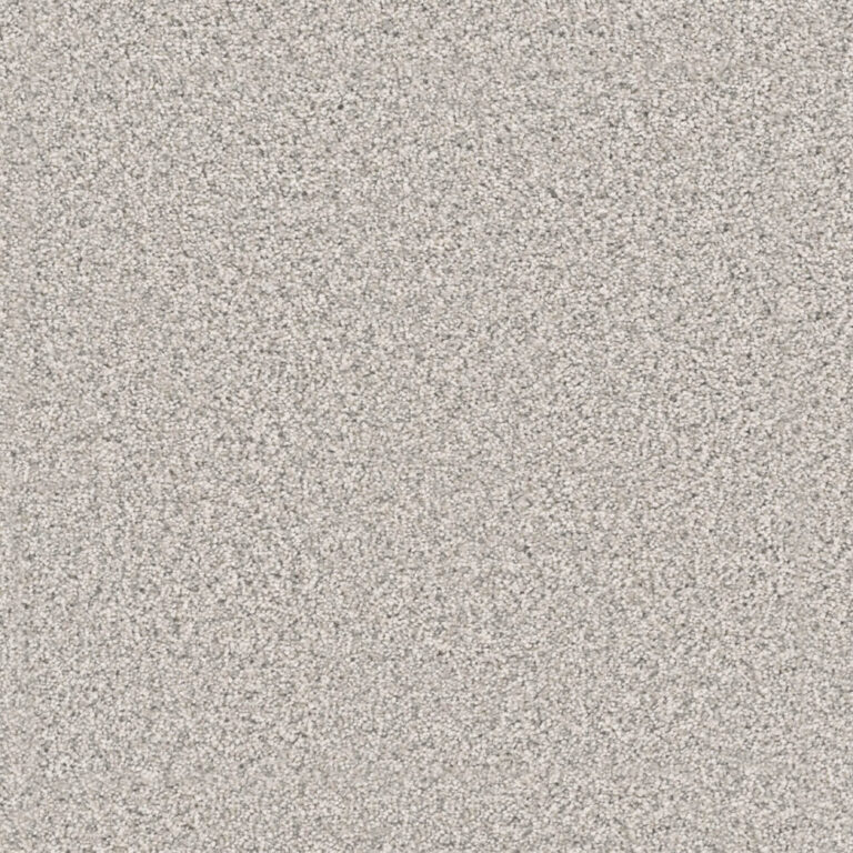 Dreamweaver Carpet Windy City II Polar Cap Carpet 4935_6057