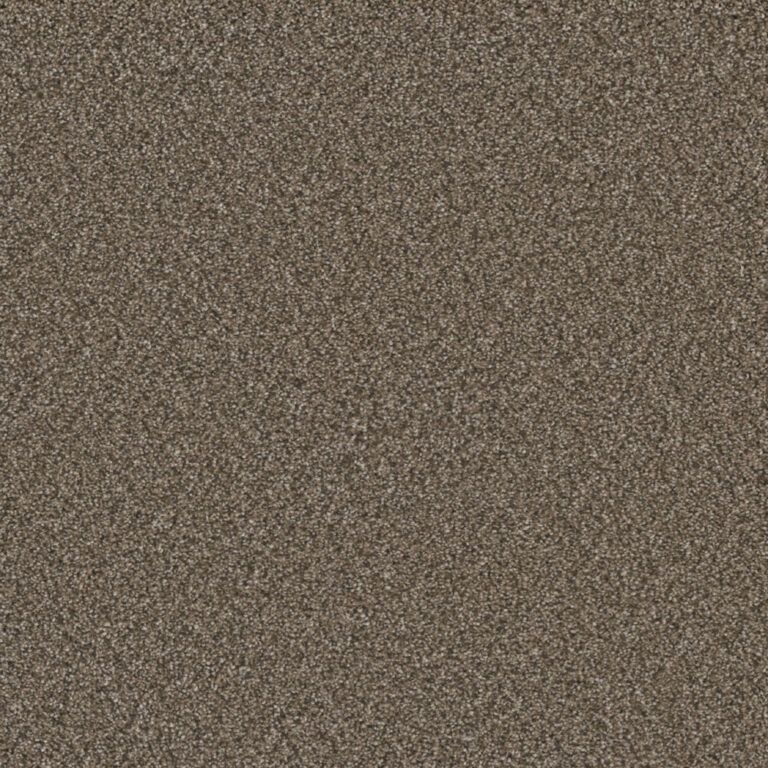 Dreamweaver Carpet Royale II Fawn Carpet 5146_6005