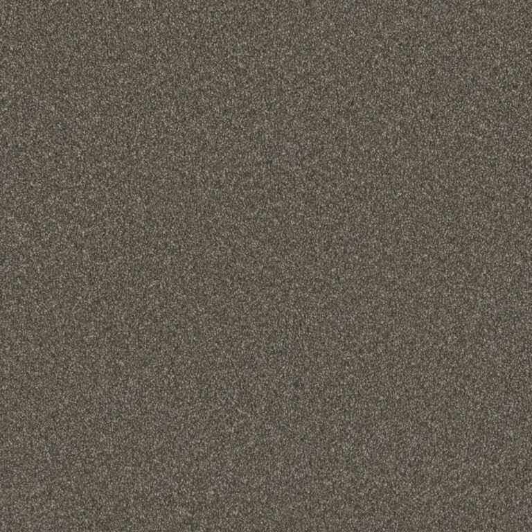 Dreamweaver Carpet Blazer II Rugby Carpet 6360_6112