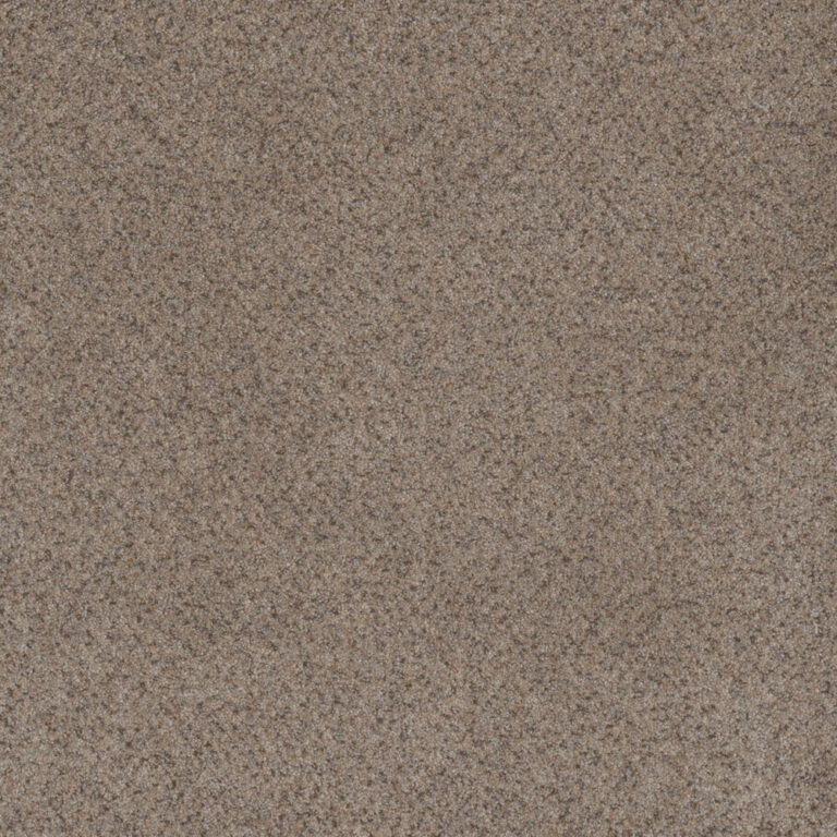 Dreamweaver Carpet Serene I Shining Star Carpet 7140_2292