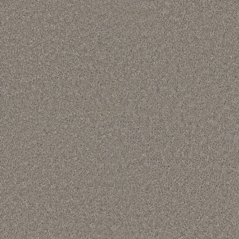 Dreamweaver Carpet Exceptional II Clam Shell Carpet 7404_182