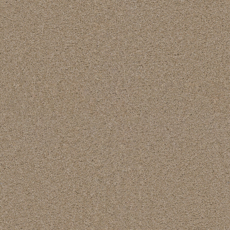 Dreamweaver Carpet Exceptional II Cashmere Carpet 7404_580
