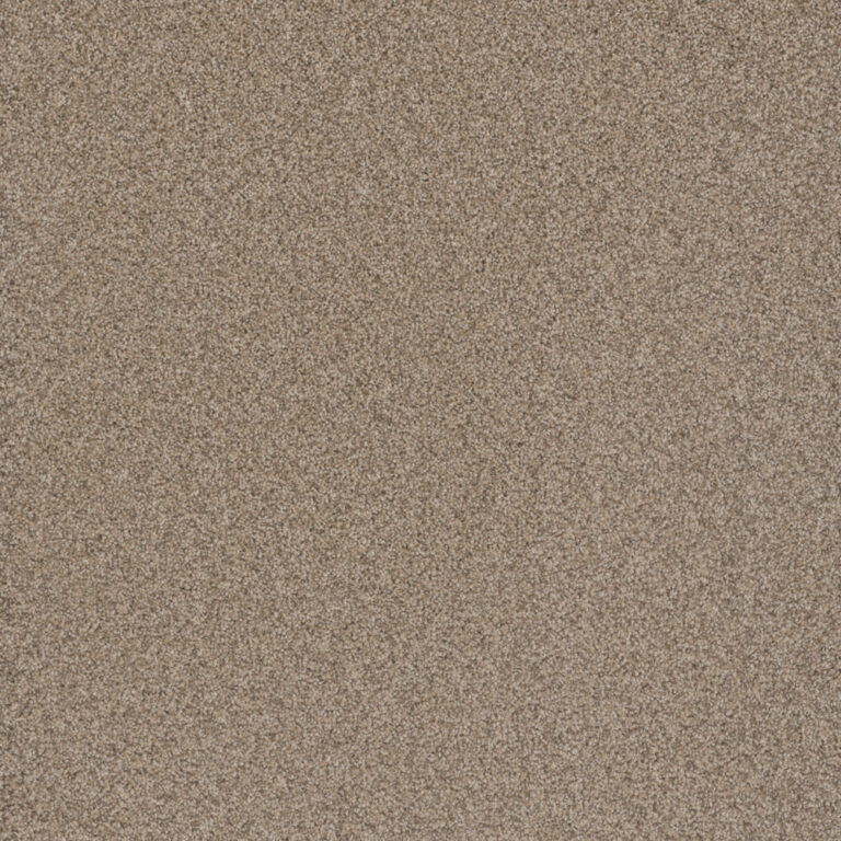 Dreamweaver Carpet Cosmopolitan II Oxford Carpet 8550_720