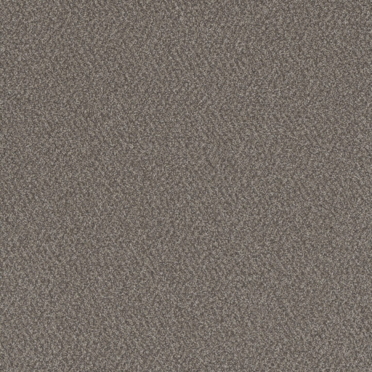 Dreamweaver Carpet All In II Lodgestone Carpet 9565_2225