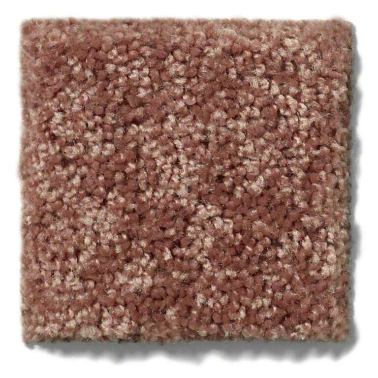 Shaw - Briceville - Winter Wheat